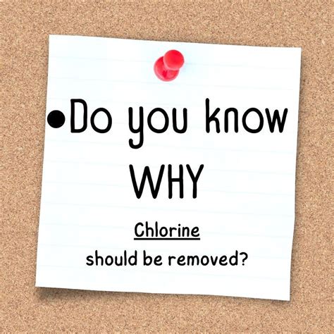 식물에 물을 주기 전에 염소를 제거하라구요