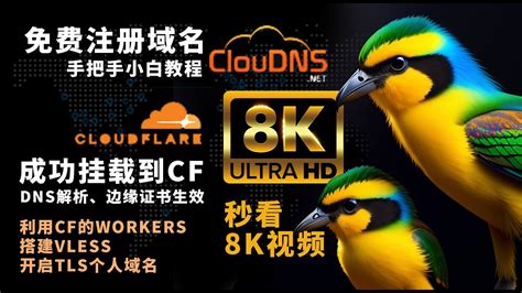 3 注册免费域名cloudns，并在cloudflare托管解析，挂载解析dns，激活边缘证书txt，在cf的workers概述搭建