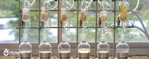 Distilled Water Vs Purified Water Whats The Difference Olympian