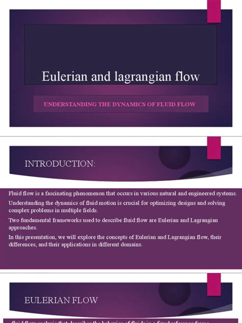 eulerian and lagrangian flow autosaved pdf