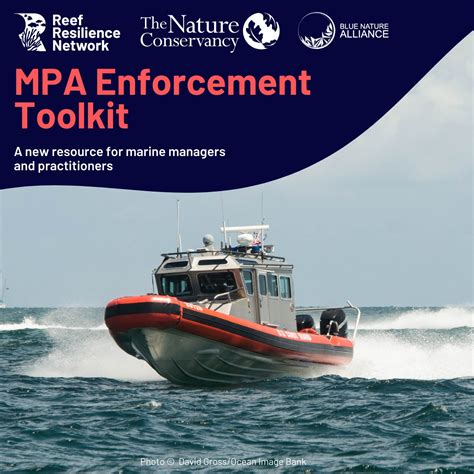 Reef Resilience Check Out The Noaa Coral Reef Conservation Programs