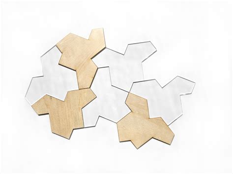 A Newly Discovered Einstein Shape Payette