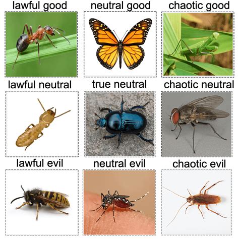 The Ultimate 5x5 Alignment Chart Ralignmentcharts