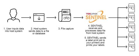 Top Trends In Enterprise Labeling For 2021 Teklynx Blog