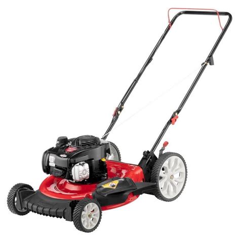 21 In 140 Cc 550ex Series Briggs And Stratton Gas Walk Behind Push Mower