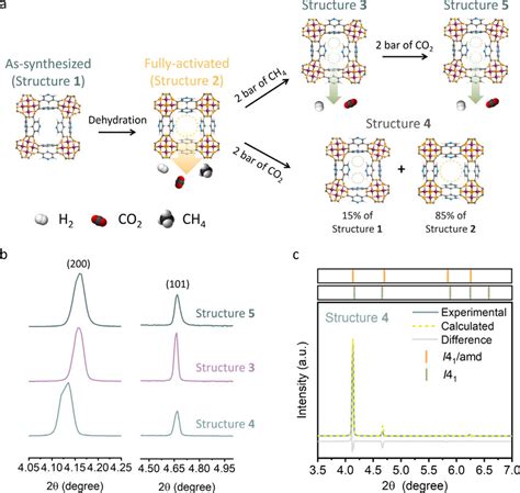 A Schematic Illustration Of Evolution Of Cau 10 Pdc Structure B Download Scientific