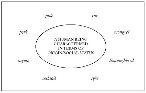 A Radial Structure Illustrating The Relationship Between The Conceptual Download Scientific