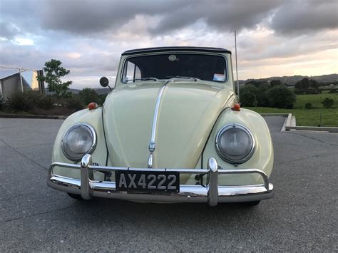 The Classic Bumper Cars 2017