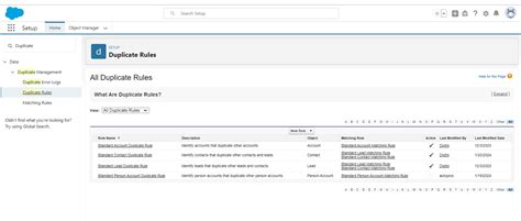 create duplicate rules in salesforce salesforce mamba