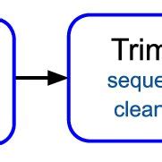 The Three Types Of API Request The First Type Of API Request Submit Download Scientific