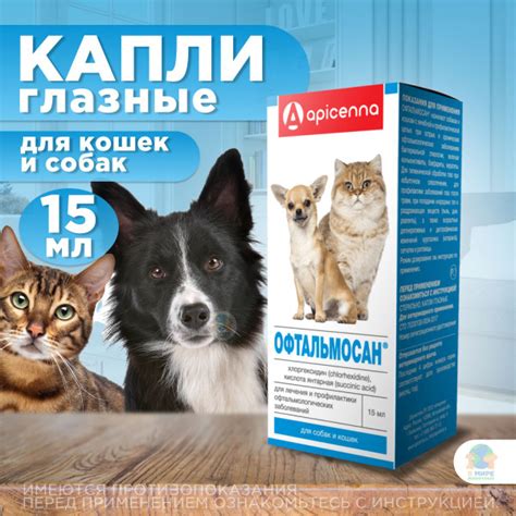 Глазные капли Офтальмосан Apicenna для кошек и собак, 15 мл ...