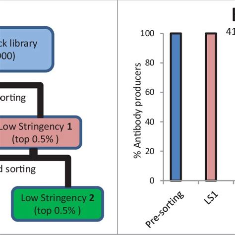 facs sorting of a mock antibody library population positive control