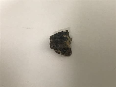 Enstatite Crystal And Fossils