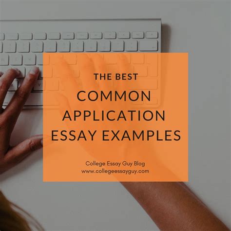 10 Outstanding Common App Essay Examples 2024 Common App Essay Essay Examples College Essay