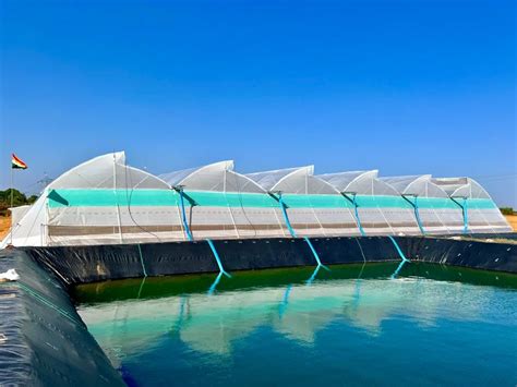 Polyethene Plastic Panel Build Agriculture Polyhouse Structure At ₹ 790