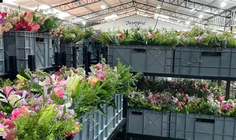 Send Flowers Flower Delivery Farmgirl Flowers