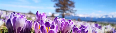 Anfragen Oder Buchen Gasthof St Ulrich In Mölten Bei Meran In Südtirol