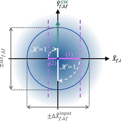 Illustration Of Quantum Back Action The Fussy Circular Area Represents