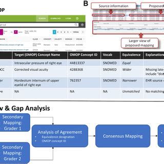 Overview Of The Mapping Process And Subsequent Gap Analysis Panel 1 Download Scientific
