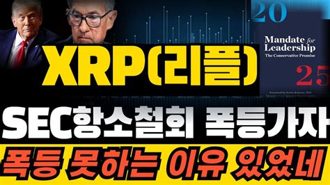 Xrp엑스알피 Sec항소 철회 폭등가자 폭등못하는 이유가 이거였어 엑스알피 Xrp 엑스알피분석 리플 Xrp분석