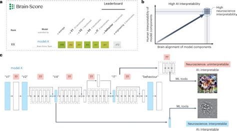 Interpretability Of Artificial Neural Network Models In Artificial Intelligence Versus
