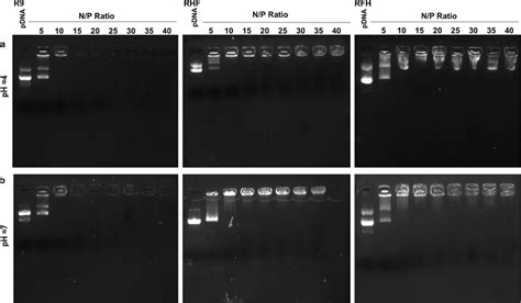 Central Position Of Histidine In The Sequence Of Designed Alternating Polarity Peptides Enhances