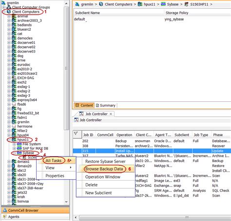 Getting Started Restore Sybase I Dataagent