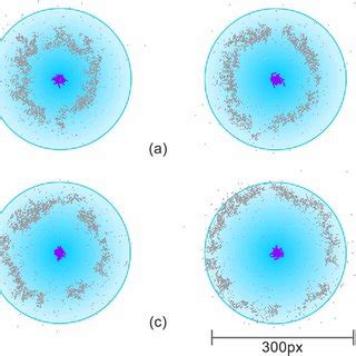 External Ant S Turn Based On Ant Type Routine Download Scientific Diagram
