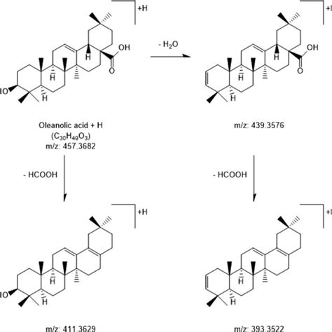 Msms Fragmentation Pathway Of Hederagenin Aglycone In Positive Mode