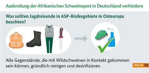informationen zur asp