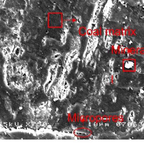 Pdf Two Dimensional Sem Image Based Analysis Of Coal Porosity And Its Pore Structure
