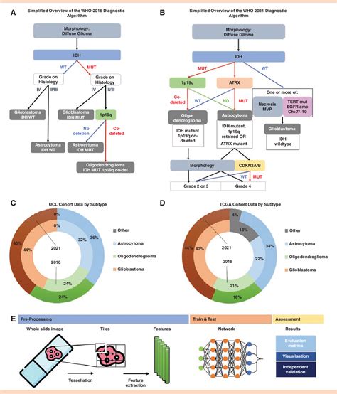 Figure 1 From Direct Image To Subtype Prediction For Brain Tumors Using