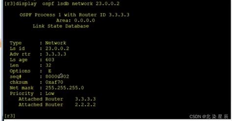 Hcip Ospf Lsa详解 Ospflsa老化时间到达30分钟会怎样 Csdn博客