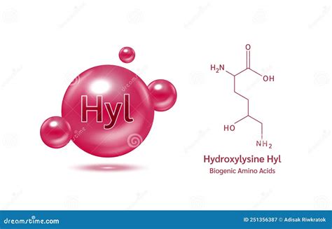 重要氨基酸羟肟酸水合酶及其结构化学式和分子线模型 向量例证 插画 包括有 微生物学 氨基 氨基乙酸 251356387