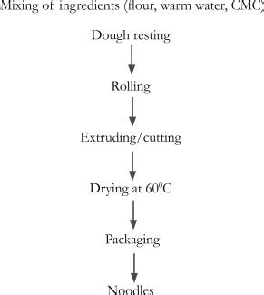 Draw A Flowchart To Cook Maggi Utah Road Test Tips
