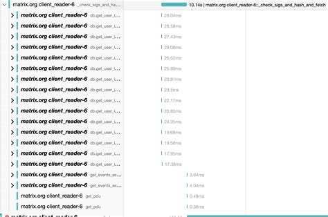 Trace Details Of The Concurrent Calls Within `checksigsandhashand