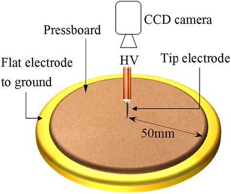 Vertical Tip Electrode System Download Scientific Diagram