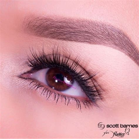 Pin On Scott Barnes For Flutter Lashes