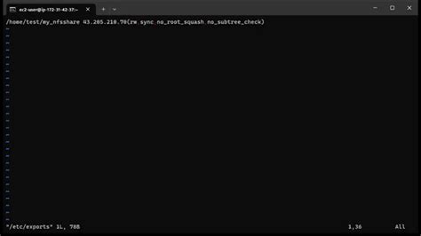 A Guide For Setting Up Nfs Server And Client On Linux Servers