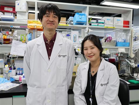 한국뇌연구원 신경줄기세포의 뉴런·교세포 전환 스위치 단백질 발견해
