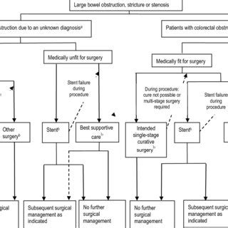 Proposed Clinical Management Algorithm Download Scientific Diagram