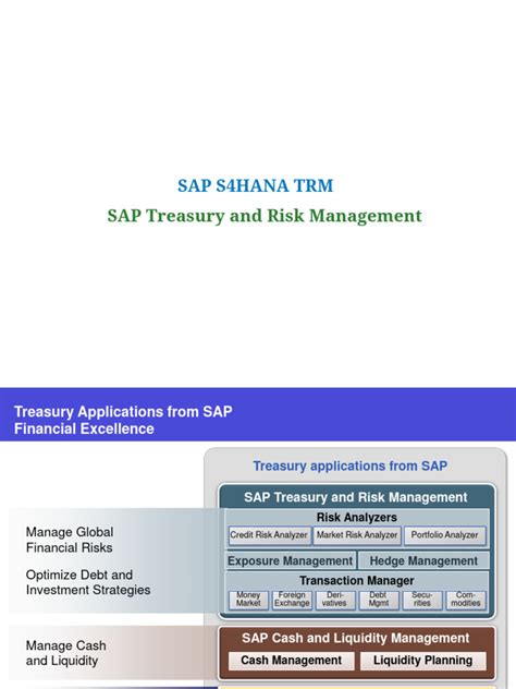 Sap S4hana Trm Pdf Swap Finance Futures Contract