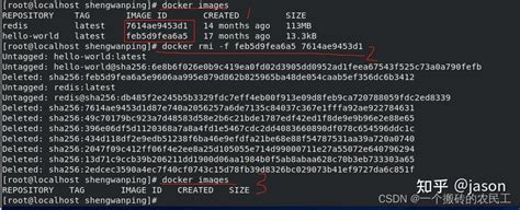 Docker常用命令 知乎