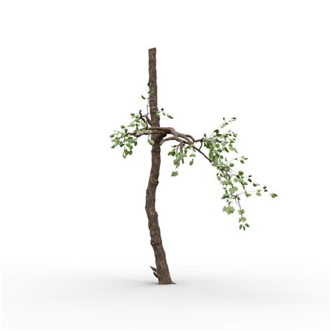 3d Tree Models Blenderkit