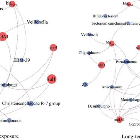 Network Analysis Showing The Co Occurrence Patterns Between Args And Download Scientific