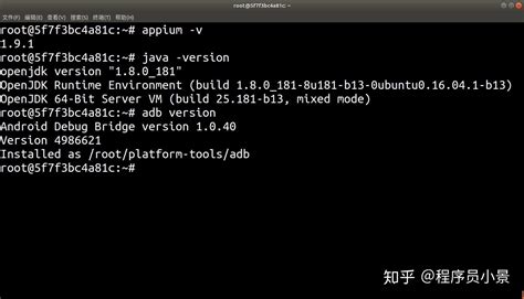 如何在docker中使用安卓模拟器 appium 知乎