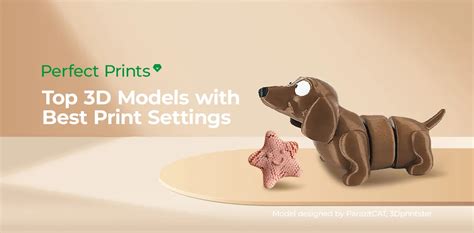 Multicolor 3d Models For K2 Plus