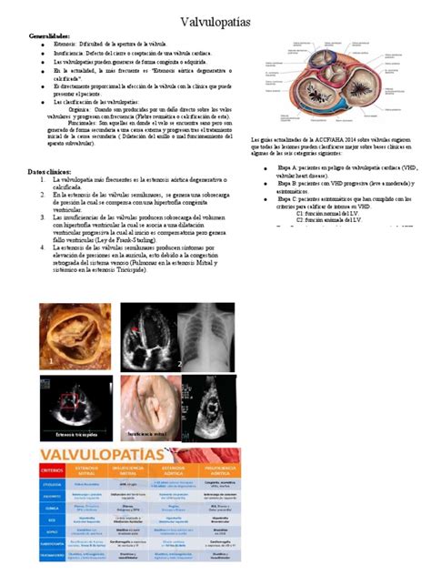 Apuntes De Cardiología Pdf Epidemiología Enfermedades