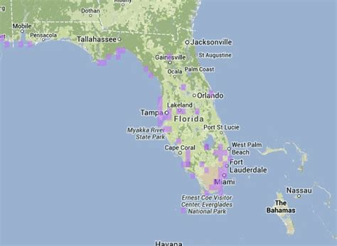 The Bronzed Cowbirds Of Southern Florida By Alex Lamoreaux Nemesis Bird