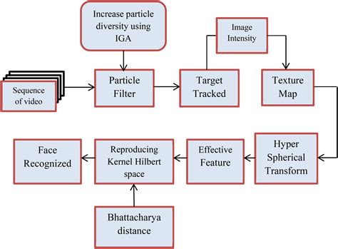 robust multi‐view videos face recognition based on particle filter with immune genetic algorithm